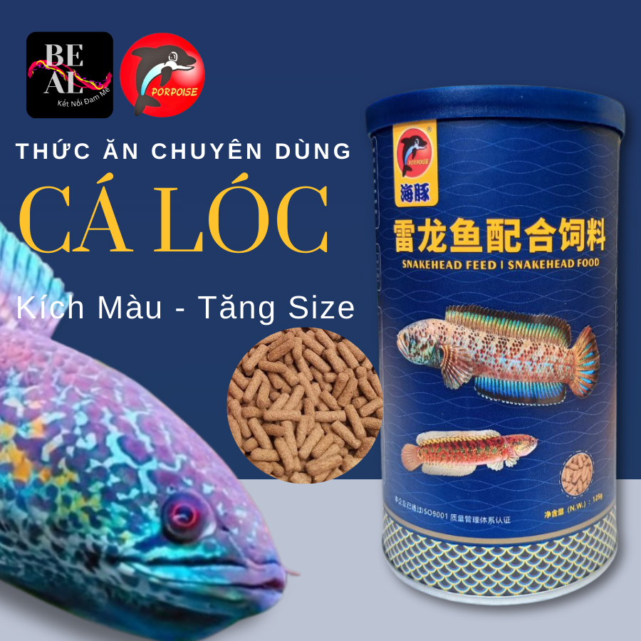 Dolphin brand snakehead fish bran with high protein content helps good ...