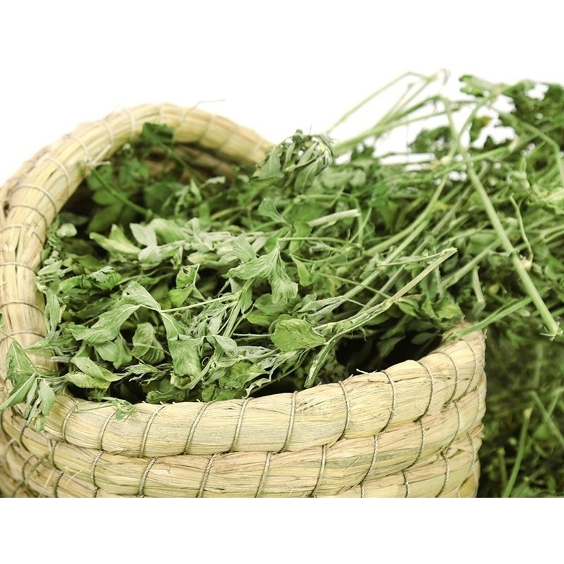 Thai Alfalfa Hay for Rabbits - Bugs - Chilchilla - Turtles 1KG | Shopee ...