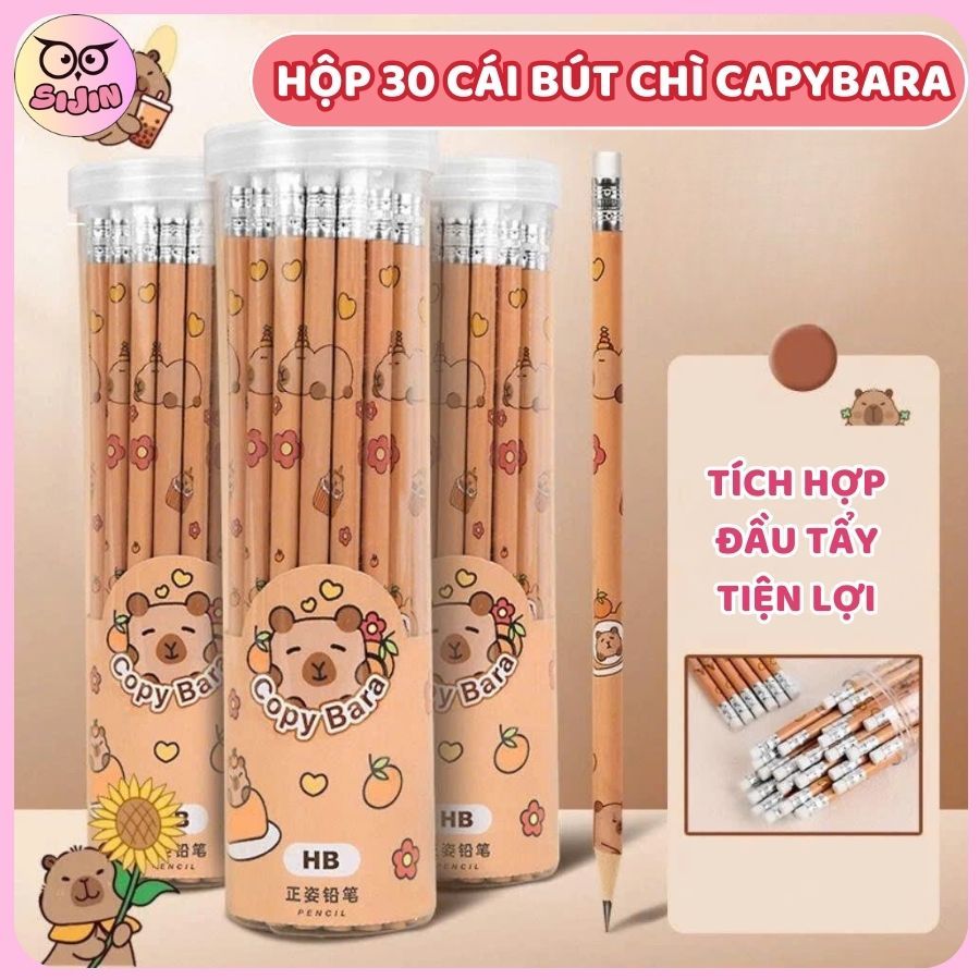 Panda Pencil Set, Capybara Hb - Safe Dark Pencil, Easy to Eras, Cute ...