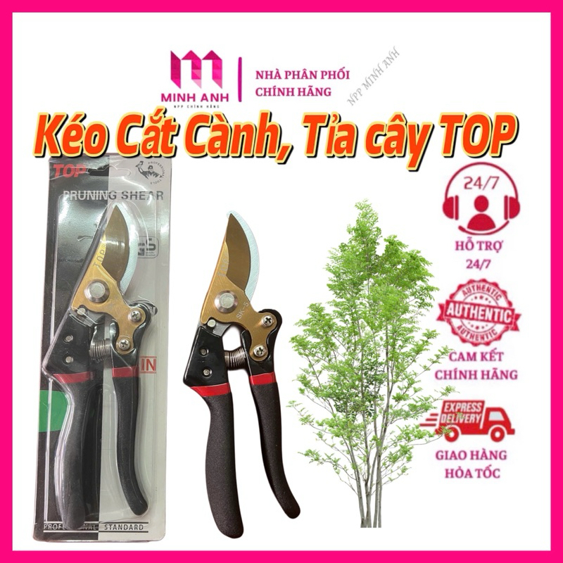 SK5 TOP Permanent Sharp Branch Shears, Japanese Tree Pruning Shears ...