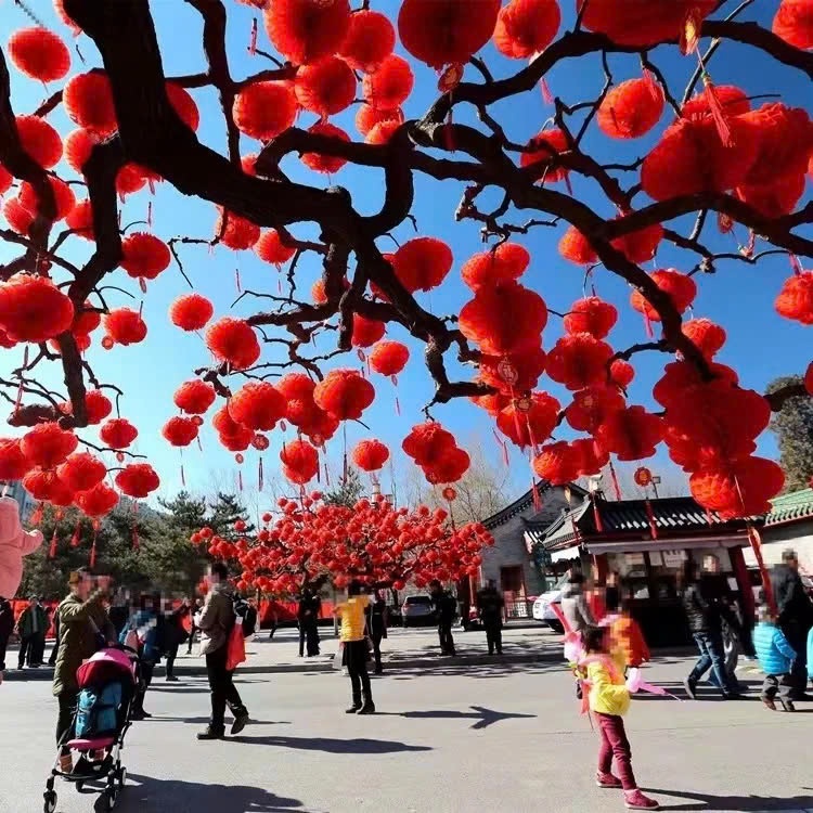 Red Lantern Hanging Decoration CNY - Red Nylon Paper Lantern Hanging ...