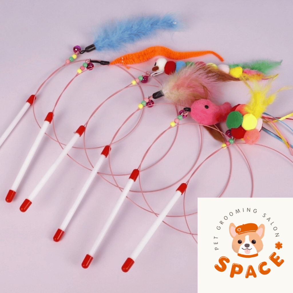 Steel Wire Cat Fishing Rod - 4 Types of Fun Cat Playing Rod | Shopee ...