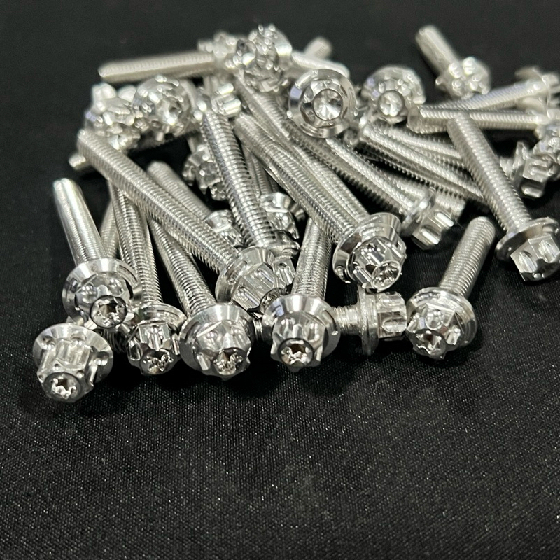 Full set of salaya engine block screws model M3 (installed like ...