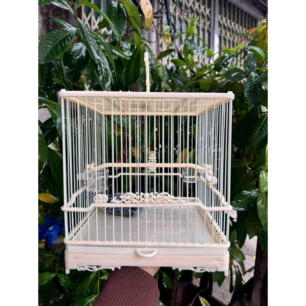 [SELF-ASSEMBLY Frame] Bird cage, honey sucker, self-assembled nam kinh ...