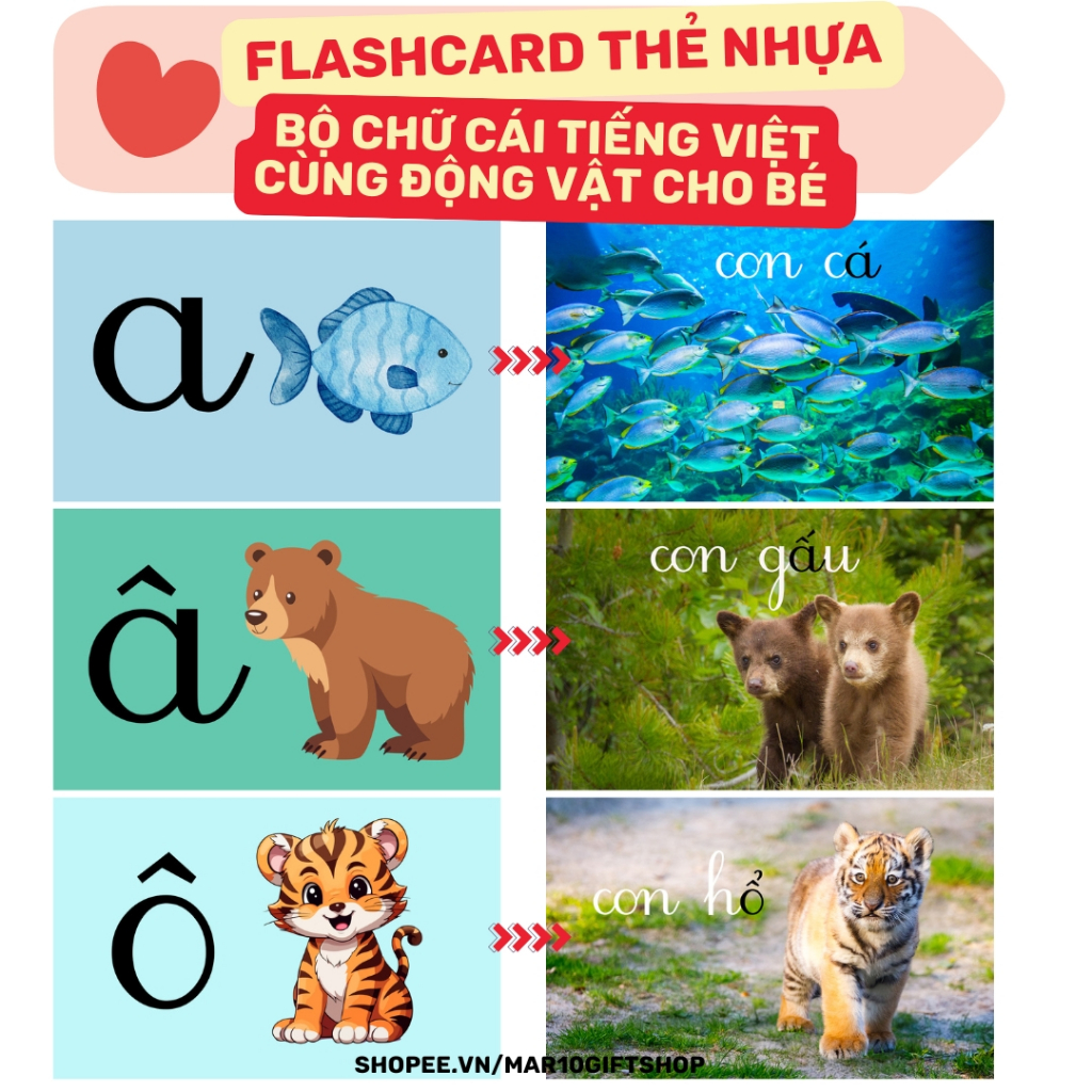 Vietnamese alphabet plastic flashcard set for children - with animals ...