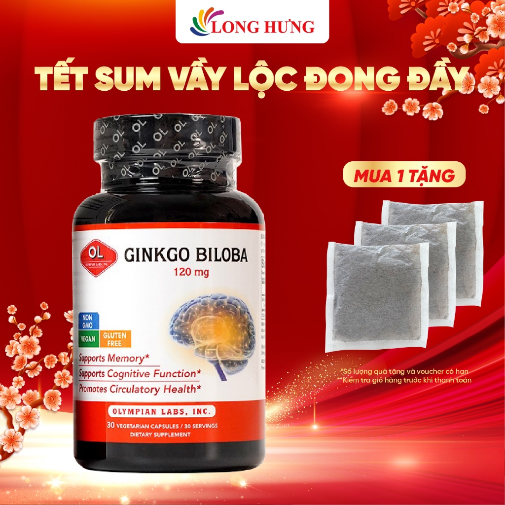 Olympian Labs Ginkgo Biloba 120mg brain tonic pills to support memory ...