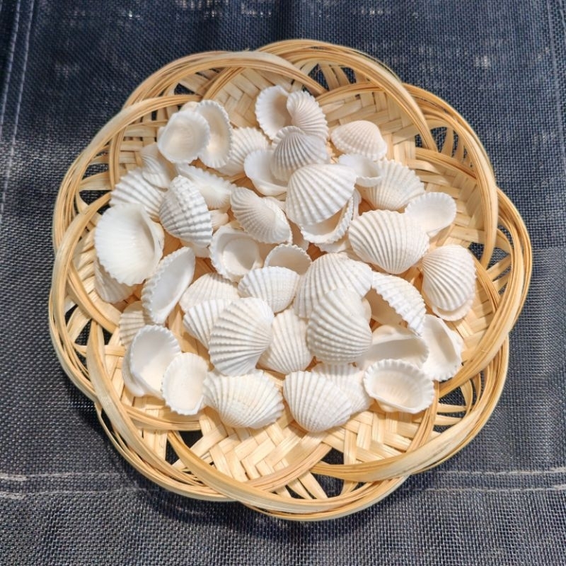 DIY handmade bleaching blood seashells 100g - 100g pack | Shopee Malaysia