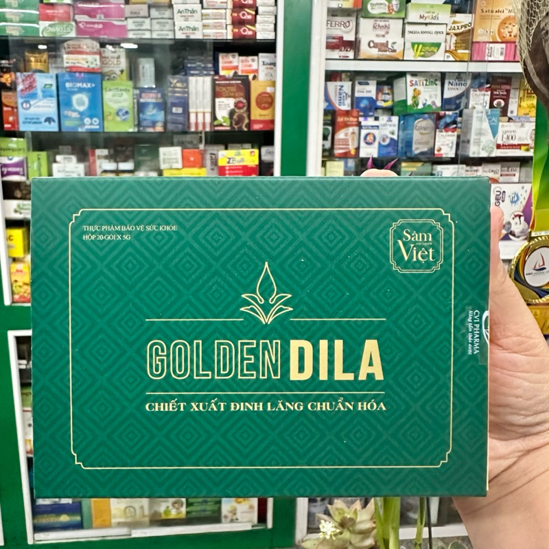 Golden DILA standard polyscias fruticosa - Supports reducing the risk ...