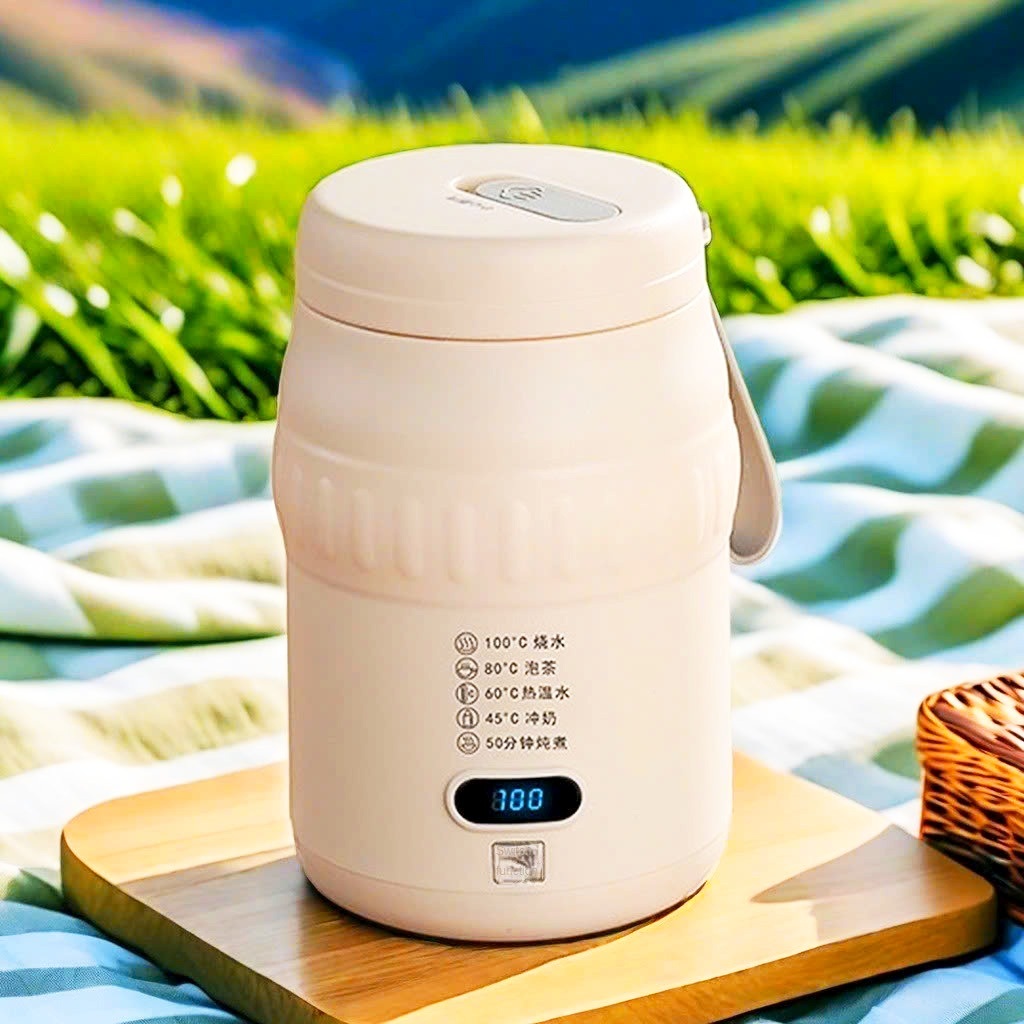 Multifunctional Water Cooker 220V + USB 5V SUS304 500ml Boil Water/Cook ...