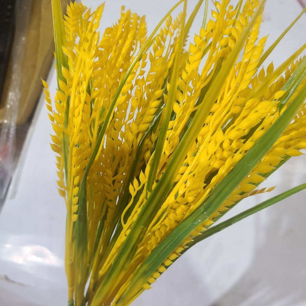 80 cm tall bunch of rice flowers for decoration CNY, used for decor ...