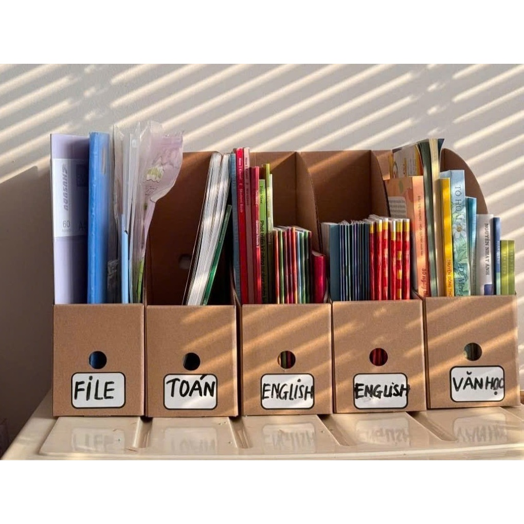 Set of 10 document dividers, file shelves, document compartments made ...