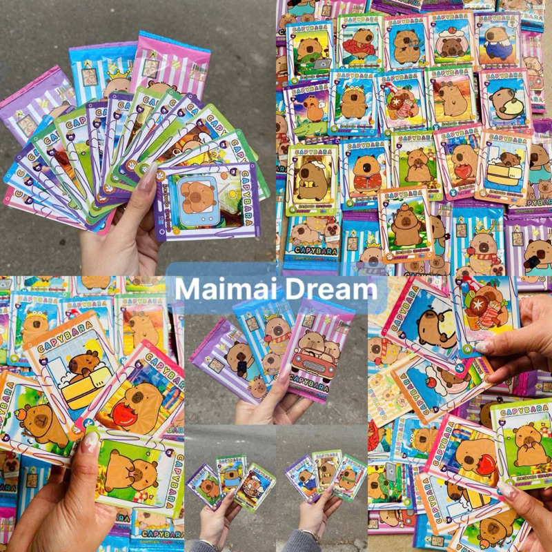 Capybara picture cards, bag of 8 Capybara picture cards, cheap student ...