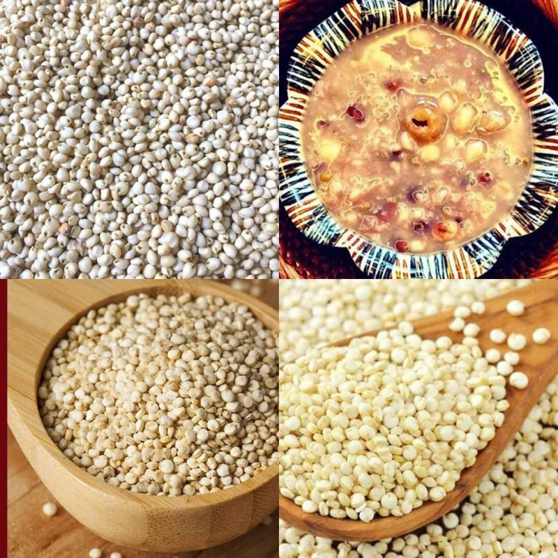 1kg Organic Sticky Rice Seeds (bo bo seeds) | Shopee Malaysia