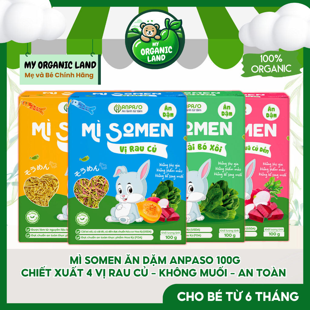 Anpaso Unsalted Somen Noodles 100g - 4 Vegetable Flavors - Safe ...