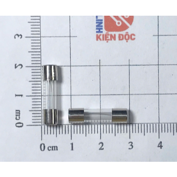 [Combo of 20] Glass fuse 10A 250V 5x20mm F10AL250V | Shopee Malaysia