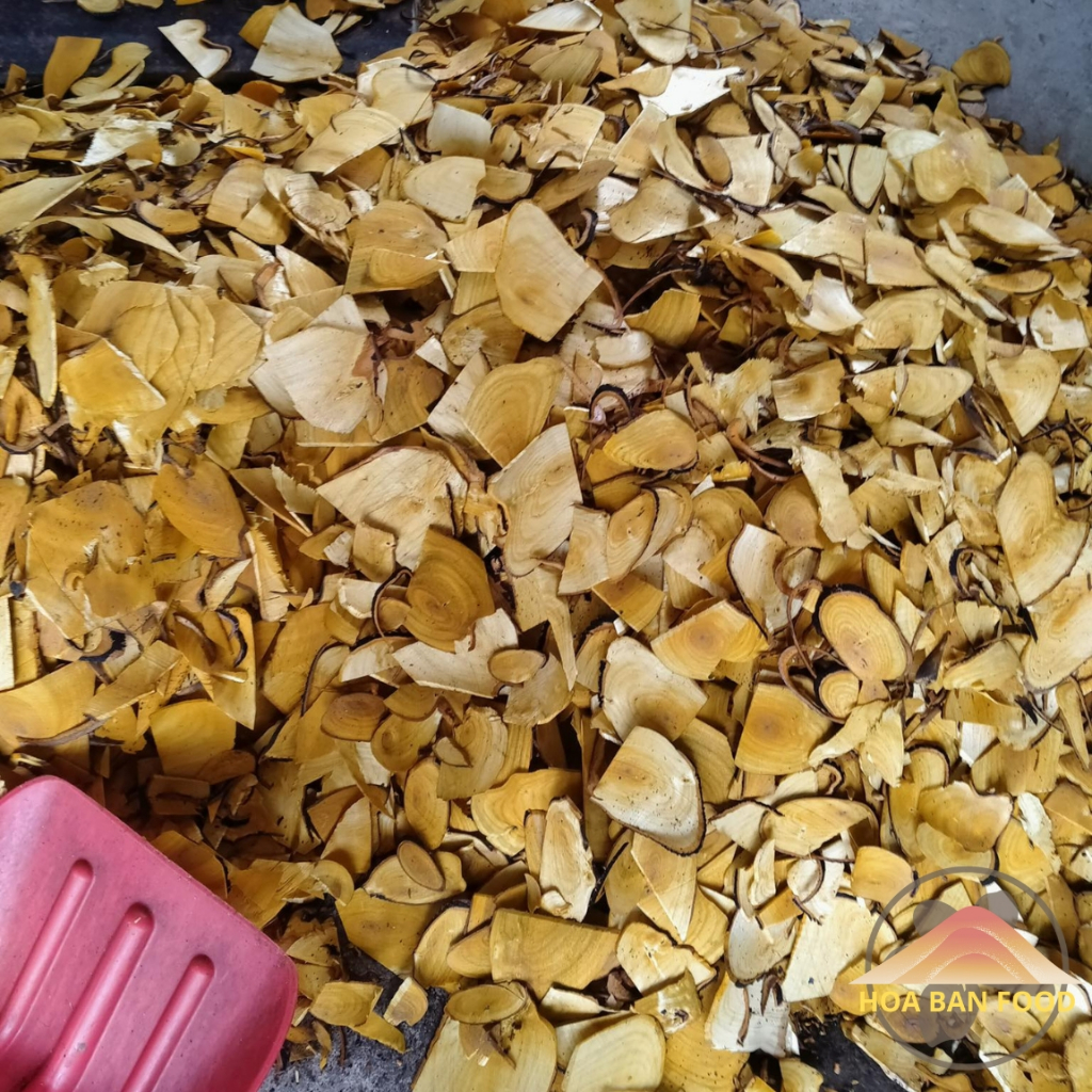 Northwestern wild persimmon roots soaked in wine grade 1. Roots of wild ...
