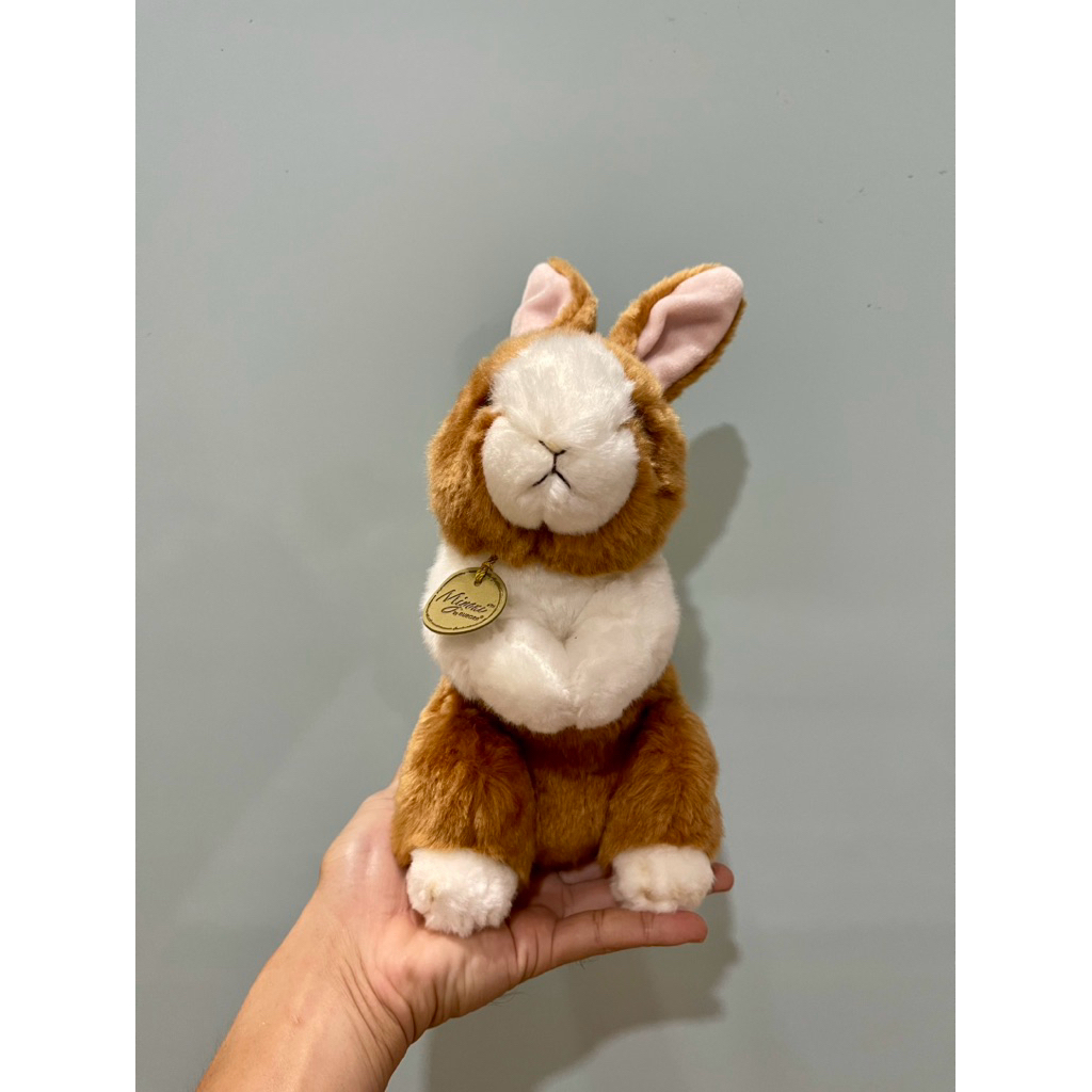 Genuine real white rabbit, wild rabbit, Dutch rabbit teddy bear Miyoni ...