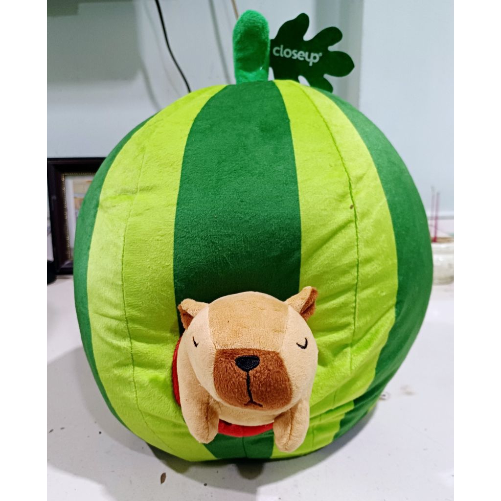 Watermelon Teddy Bear with Capybara 31cm (Close up Gift) | Shopee Malaysia