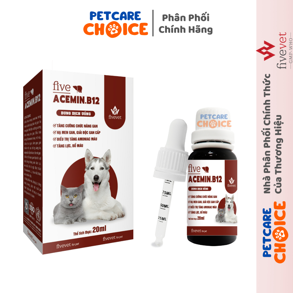FIVE Acemin B12 Liver Tonic Syrup, Liver Detoxification, Liver Enzymes ...