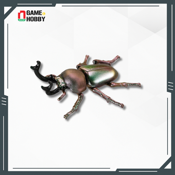 ANIA AS-42 RAINBOW STAG BEETLE MODEL - GENUINE RAINBOW HARD WINGS ...