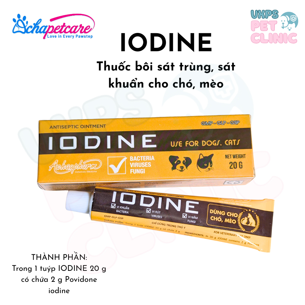 Iodine PVP - Antiseptic, Antiseptic, Antifungal Topical for Dogs and ...