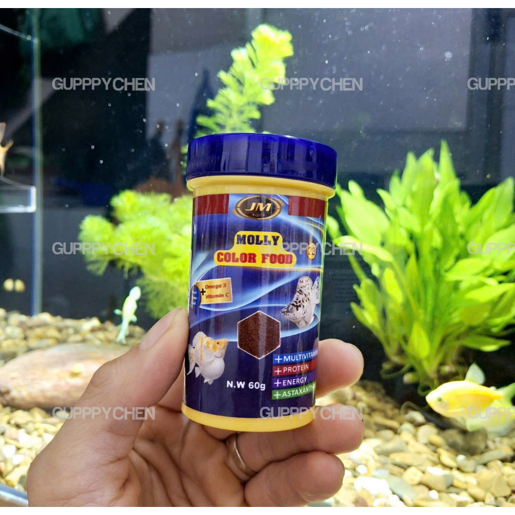JM Molly Color Food Fish Food - Super Protein Color Enhancing Bran for ...