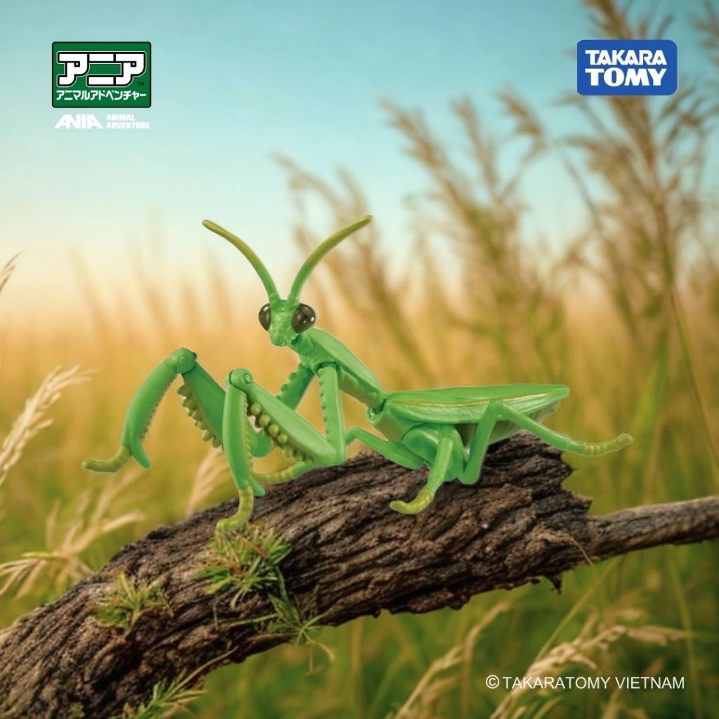 Mantis Model [Animals in Red Book] Ania AL-32 Mantis Fullbox Genuine ...