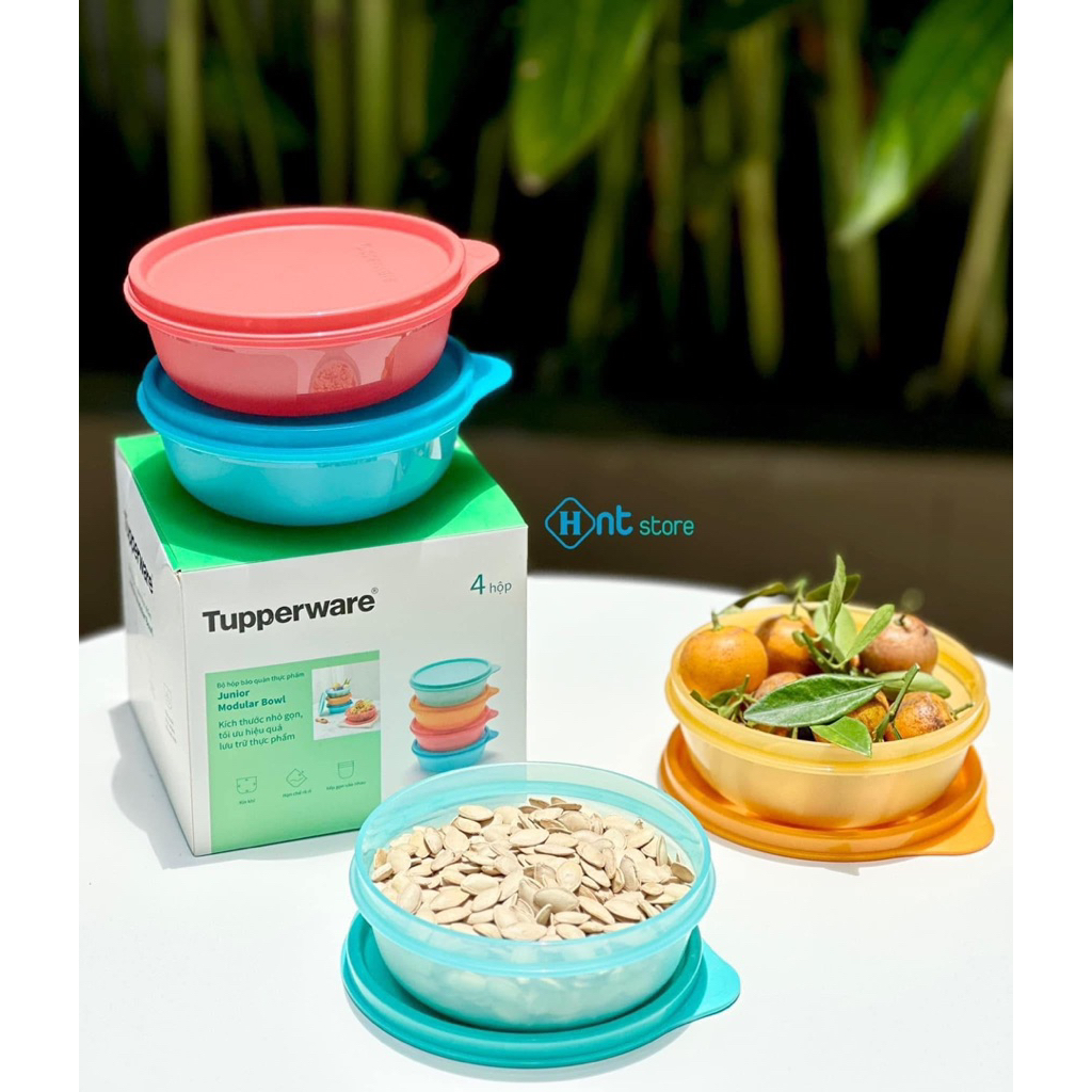 BQTP junior modular bowl box 300ml watertight and odor-tight Tupperware ...