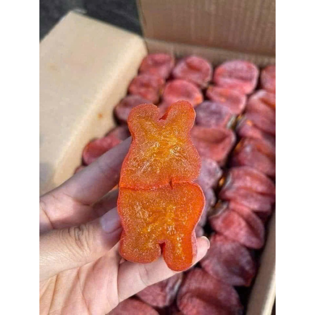 Wind Hanging Persimmon, Dried Persimmon 500gr | Shopee Malaysia