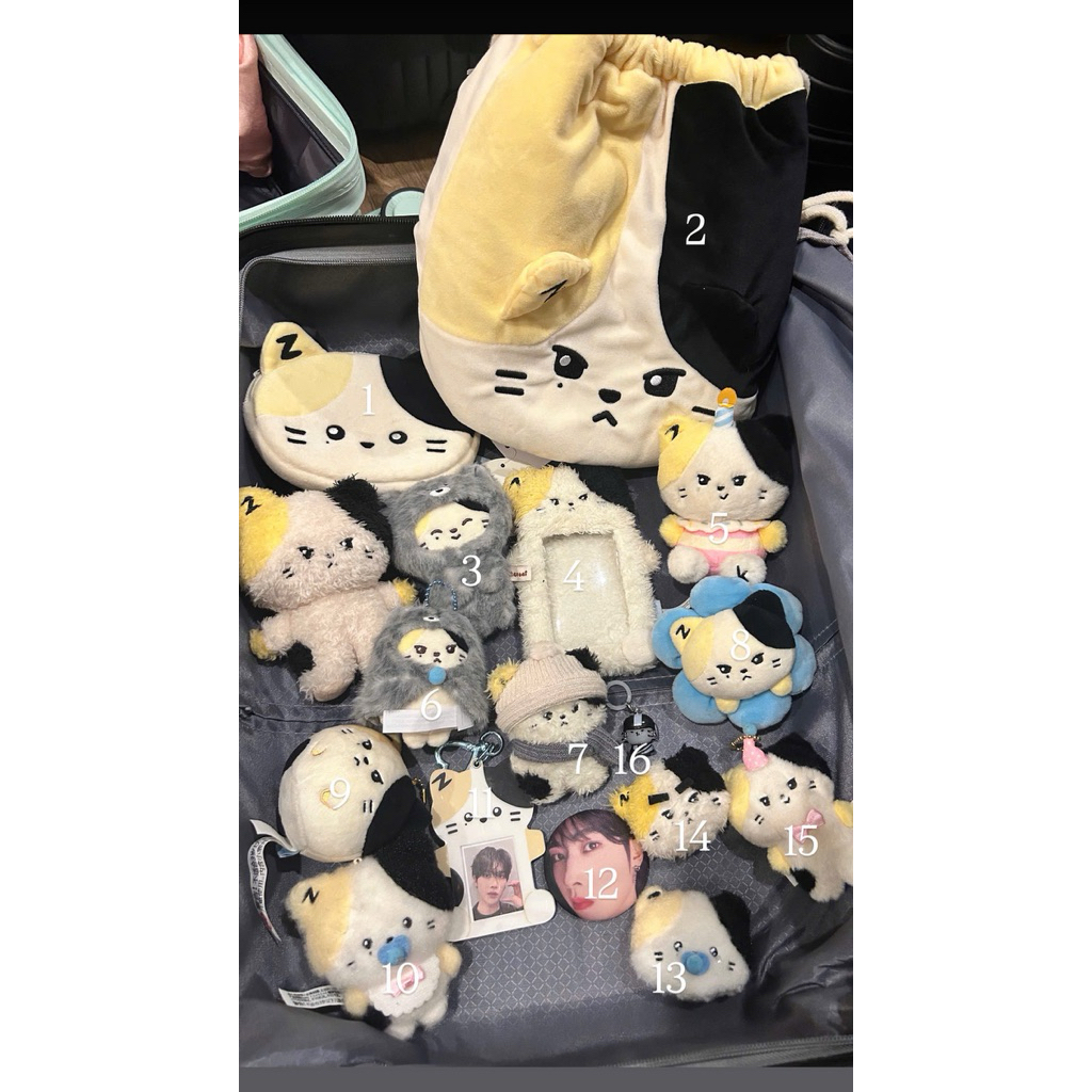 Rinini Zeroni Zerobaseone ZB1 Plush | Shopee Malaysia