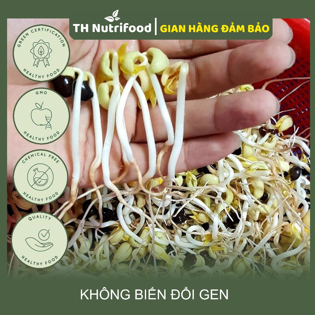 Black beans for small bean sprouts - Imported from Myanmar ...