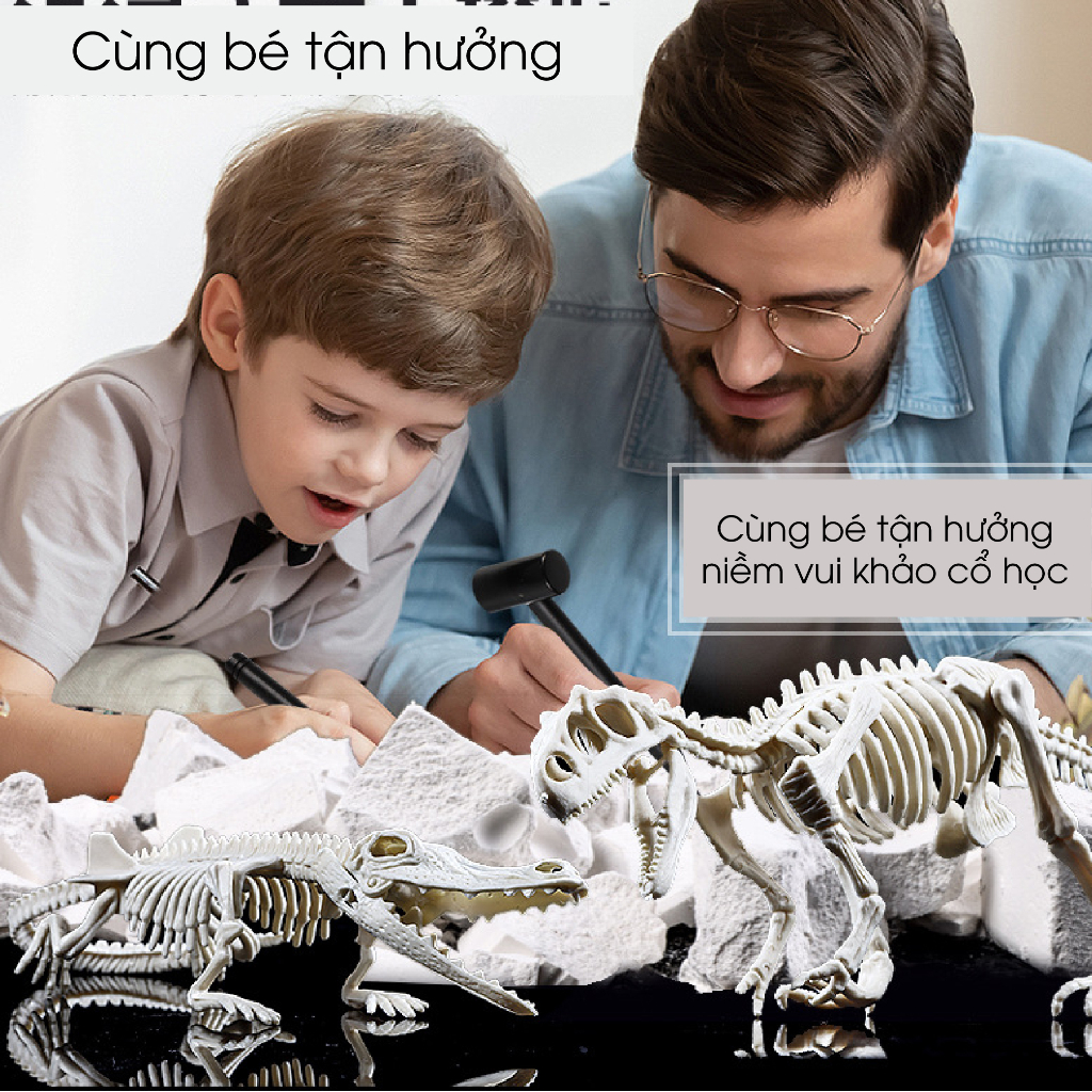 DIY Dinosaur Fossil Digging Toy Archeology Set to Find Dinosaur Fossils ...
