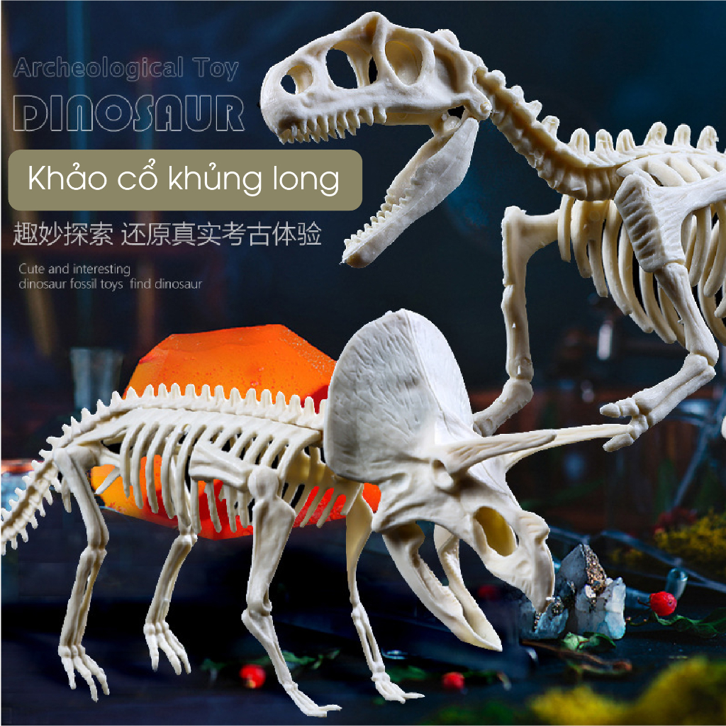 DIY Dinosaur Fossil Digging Toy Archeology Set to Find Dinosaur Fossils ...