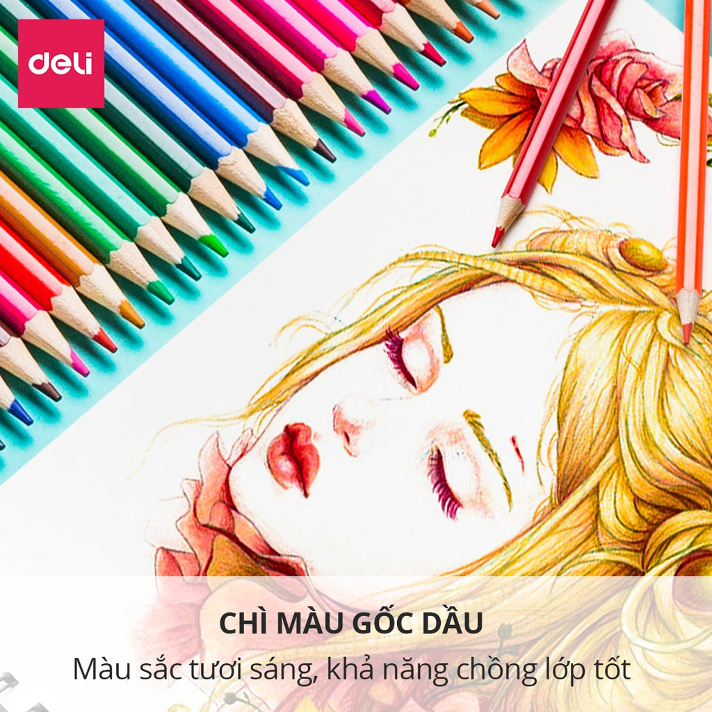 Deli Cup Professional Colored Pencils - Oil Based/Water Based - 24/36 ...