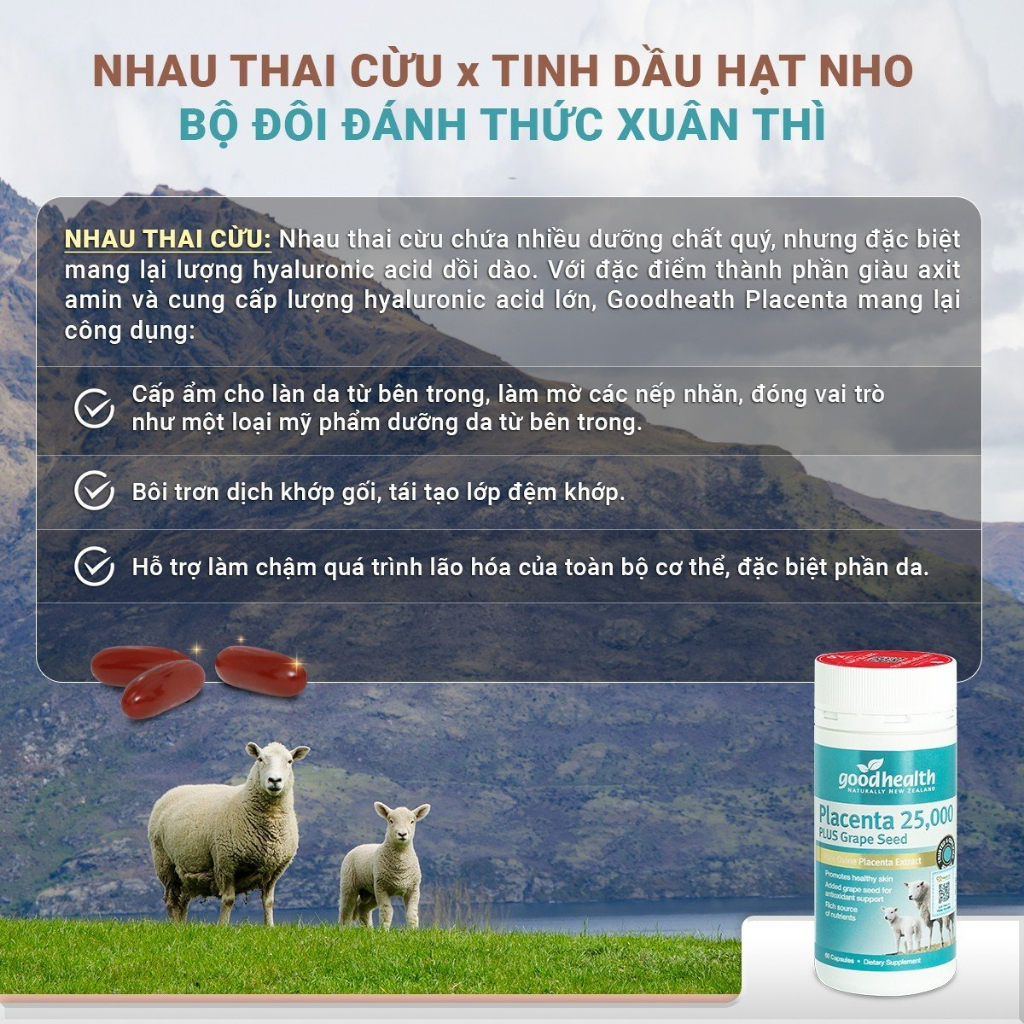 Goodhealth Placenta sheep Placenta pills 60 pills - Regenerates ...