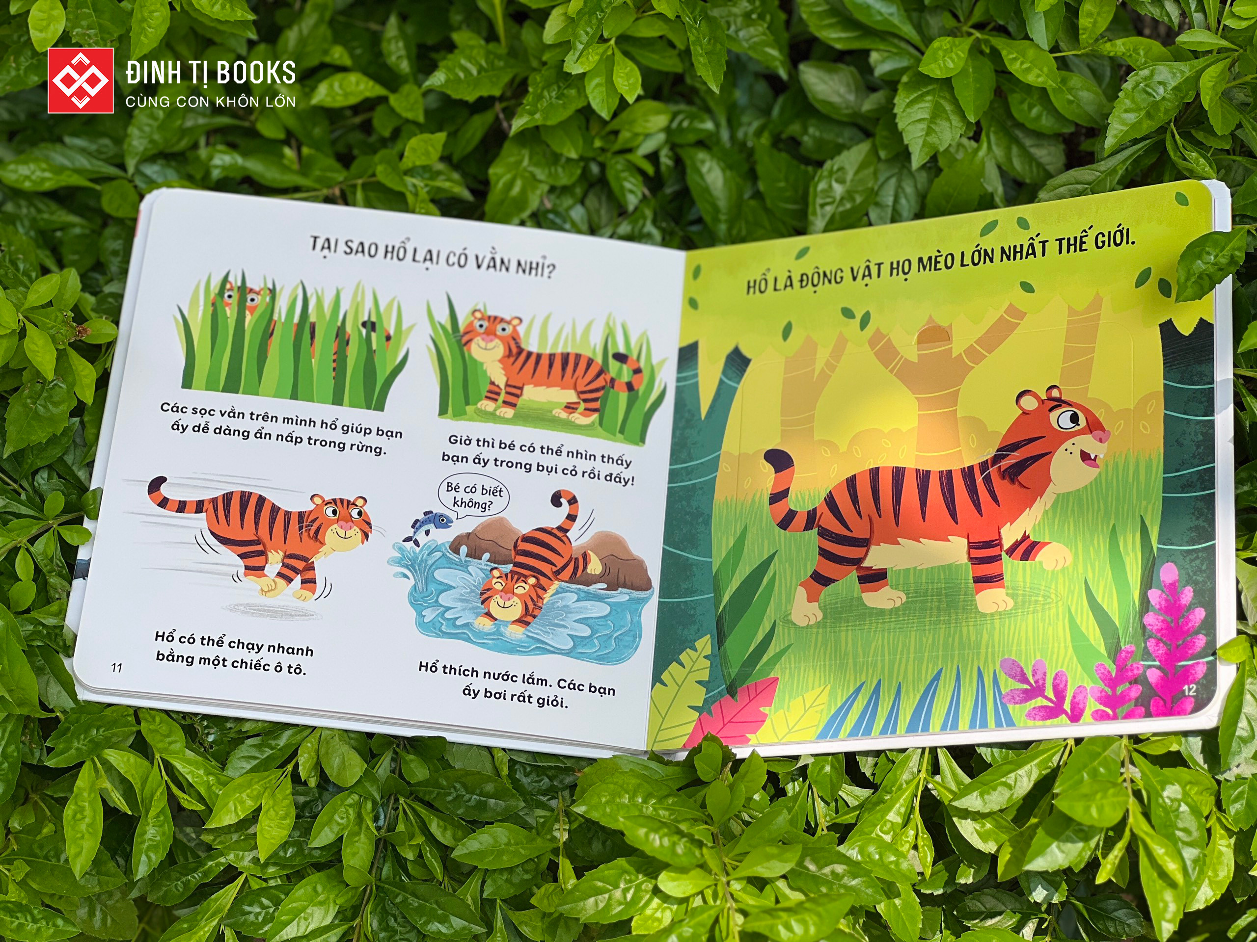 Lift The Flap Interactive Book - Lift The Flap (For children from 2 - 6 ...