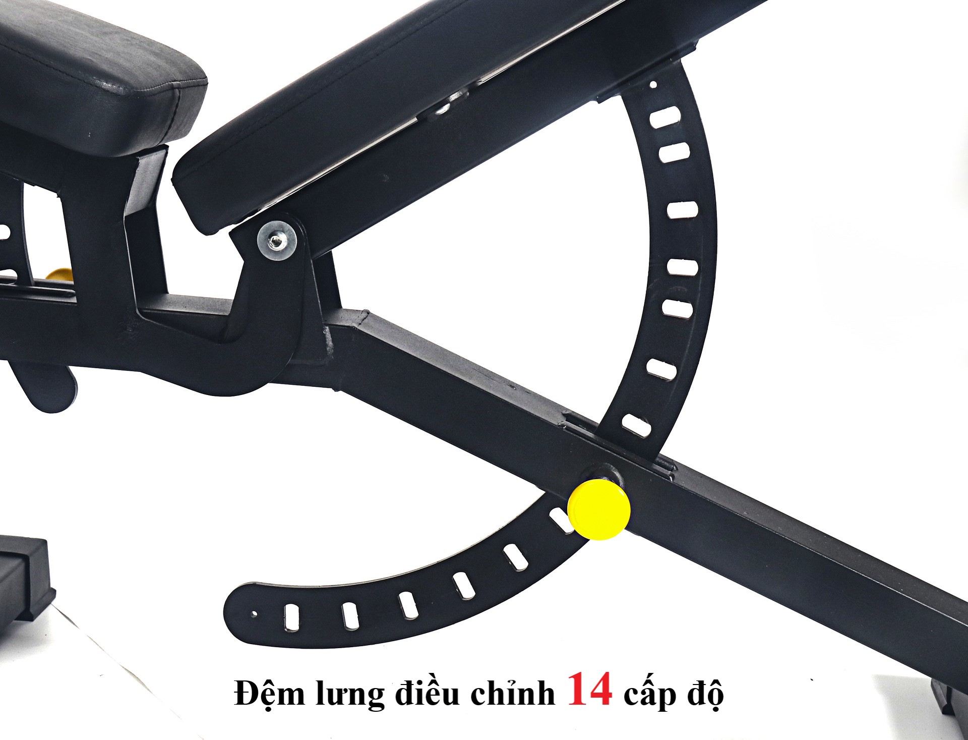 Multifunctional Gym Chair BP-010, 400kg Heavy Duty Weight Training ...