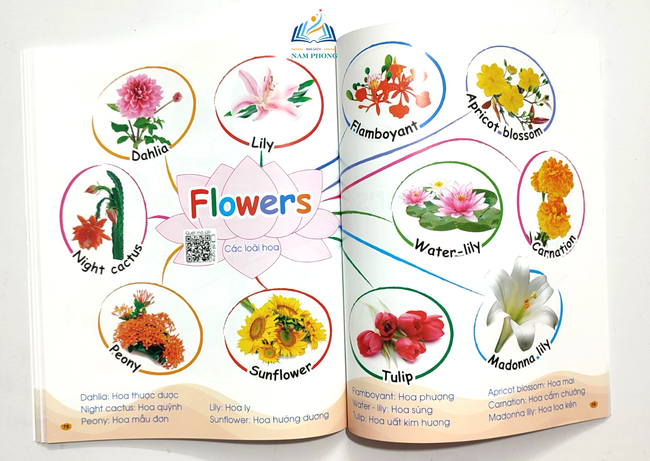 Book - Conquer Learning English Vocabulary and Sentence Patterns ...