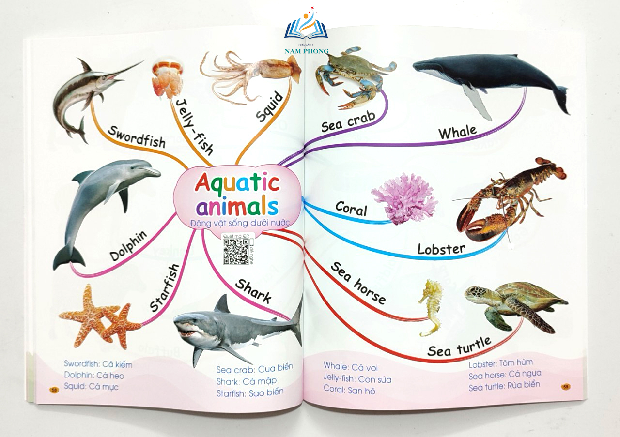 Book - Conquer Learning English Vocabulary and Sentence Patterns ...