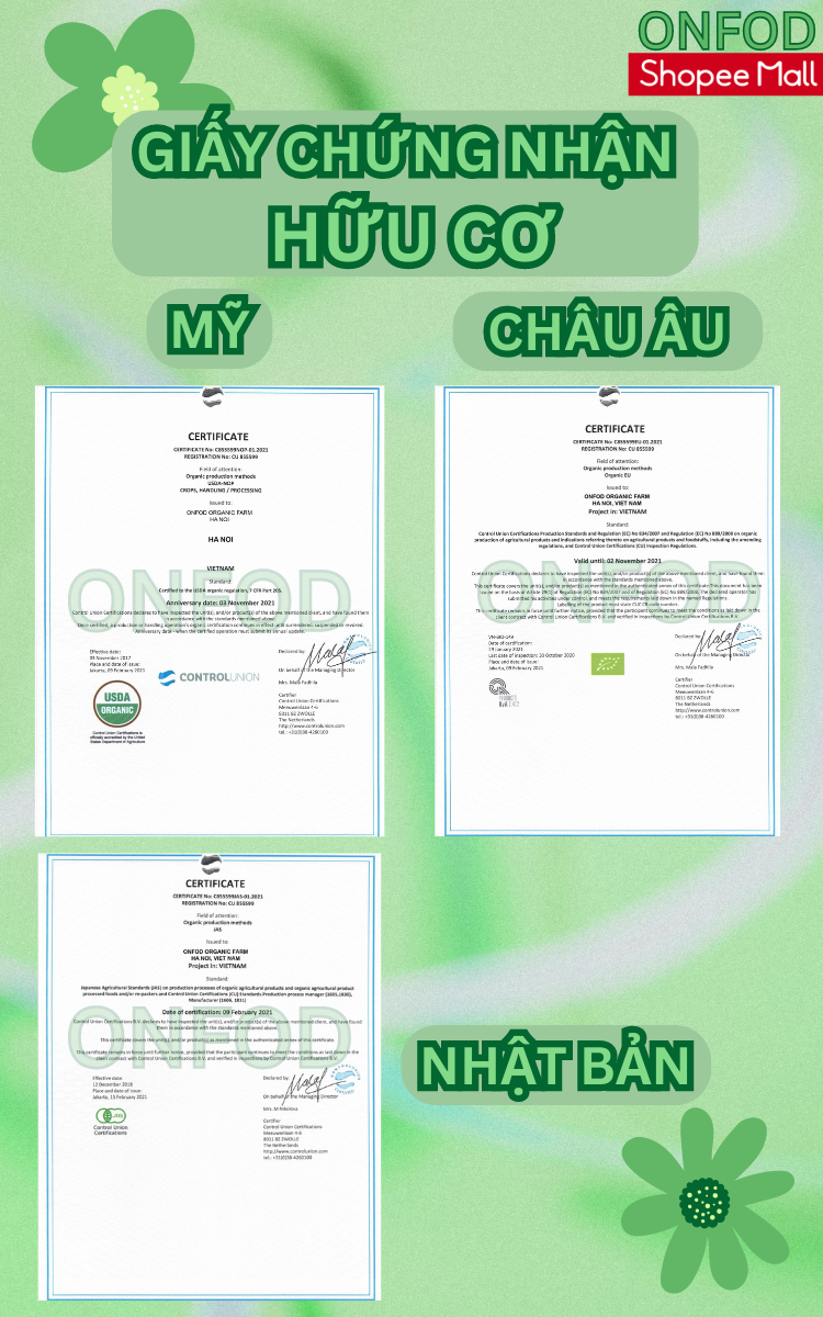 Onfod super grain granola matcha flavor for people losing weight, dieting, pregnant women ...