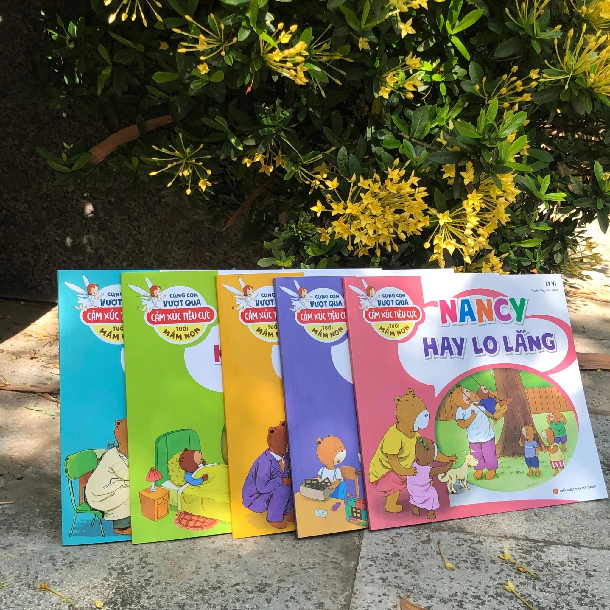 Book: Combo with your child to overcome negative emotions in preschool ...