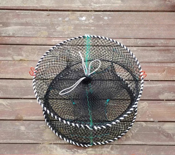 XO Spring Cage for Catching Crabs, Frogs, Turtles, Turtles, Frogs [A ...