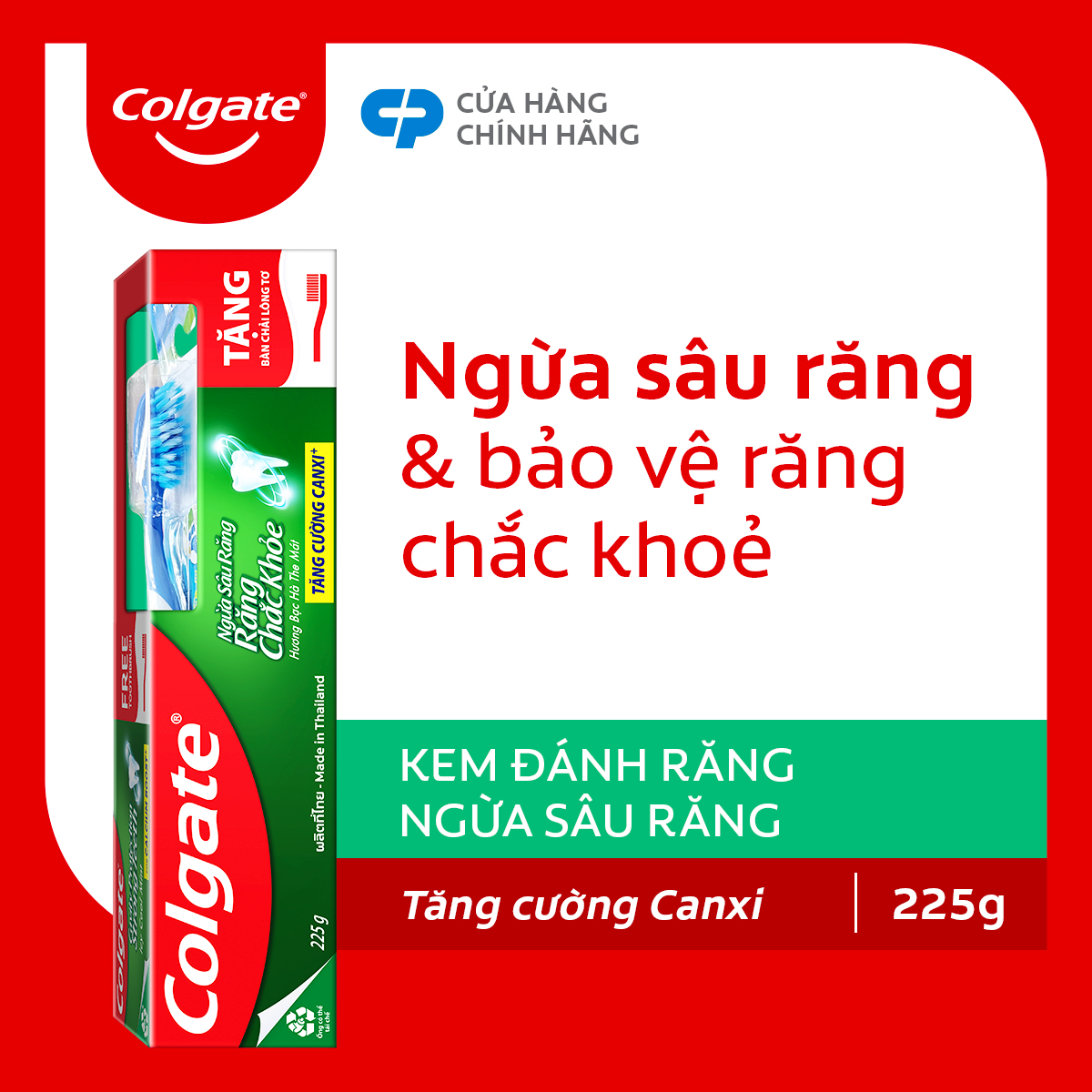 Colgate toothpaste prevents healthy tooth Decay 225g / toothbrush ...