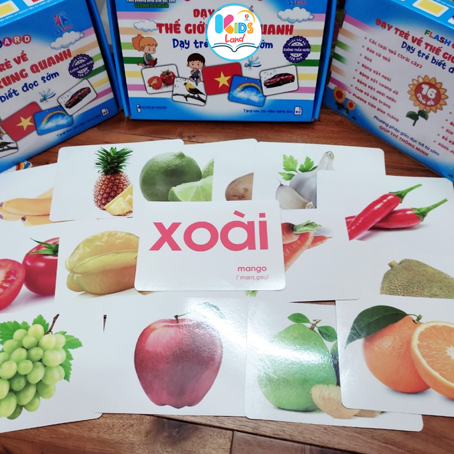 Book - Smart Learning Cards for Children Using the Glenn Doman Method ...