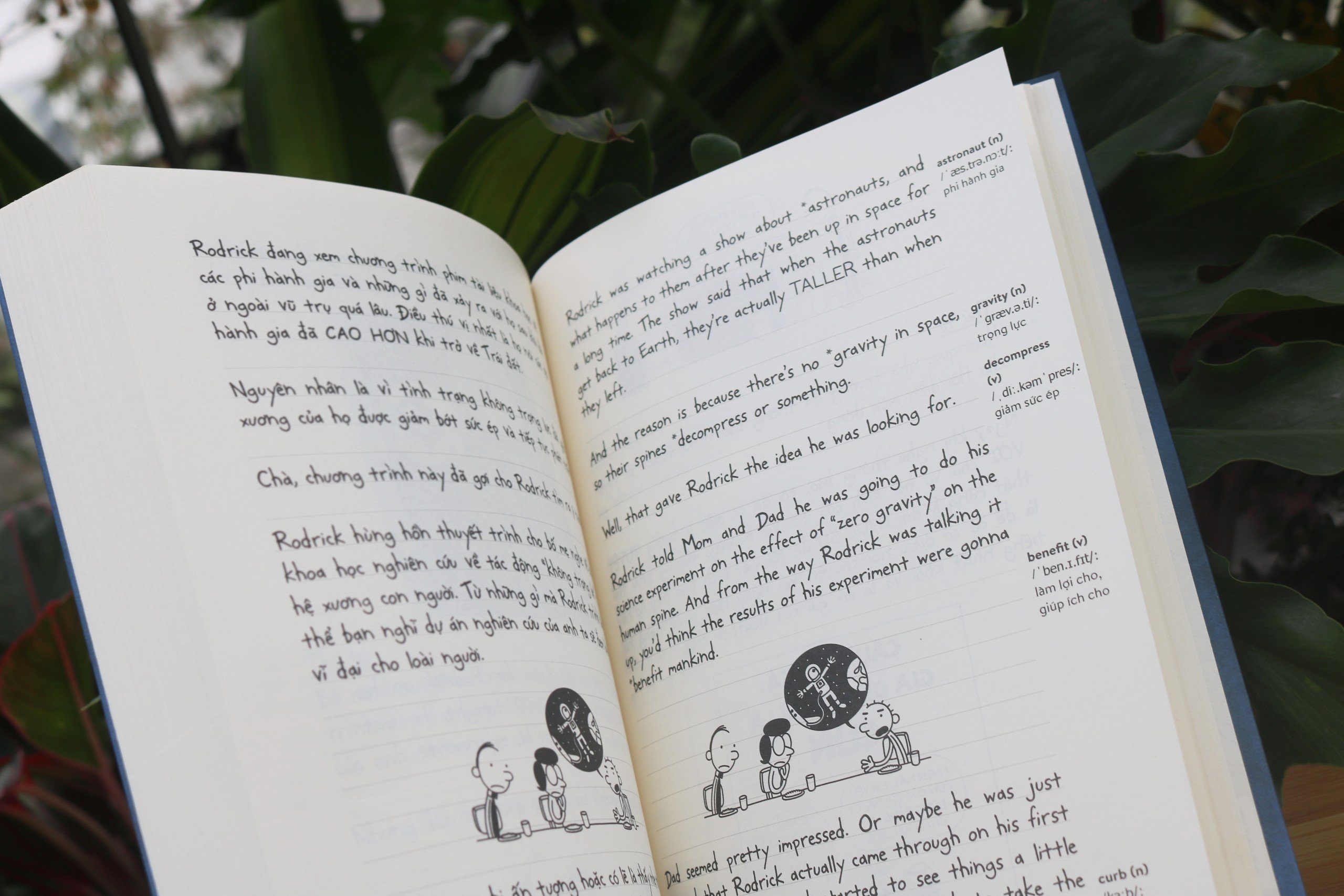 Diary of a Wimpy Kid Bilingual Volume 3 - Diary of a Wimpy Kid: Water ...