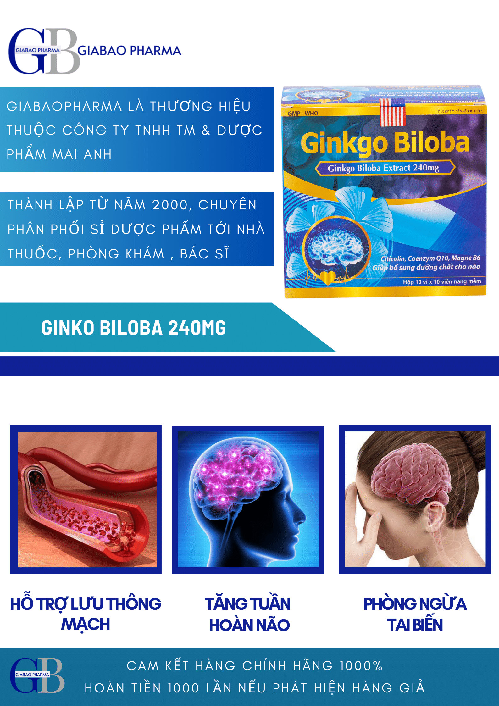 Ginkgo BILOBA 240mg Green Brain Tonic Tablets Help Strengthen Memory ...