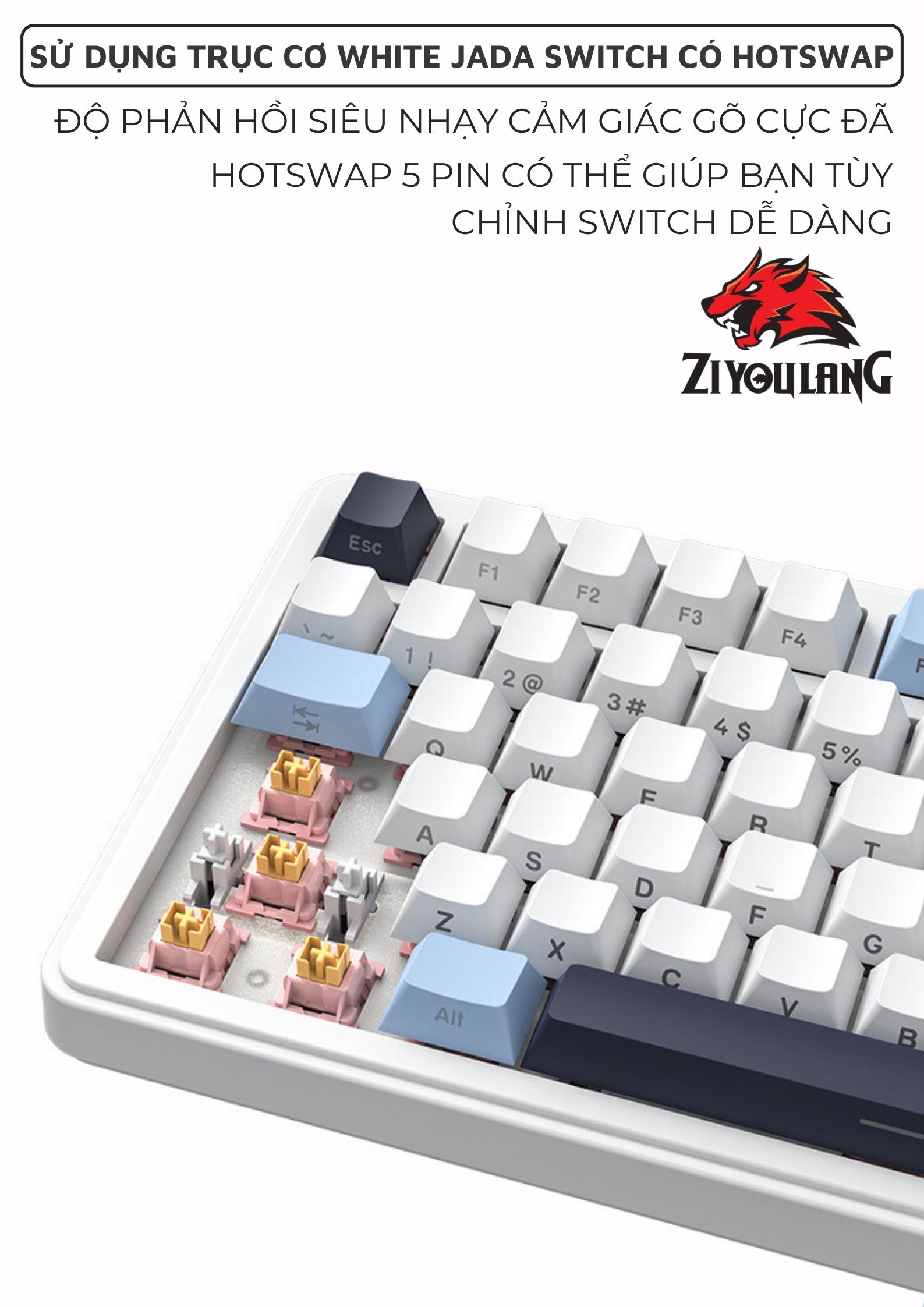 Ziyoulang X85 MINI Wireless Bluetooth Mechanical Keyboard RGB LED 3 ...