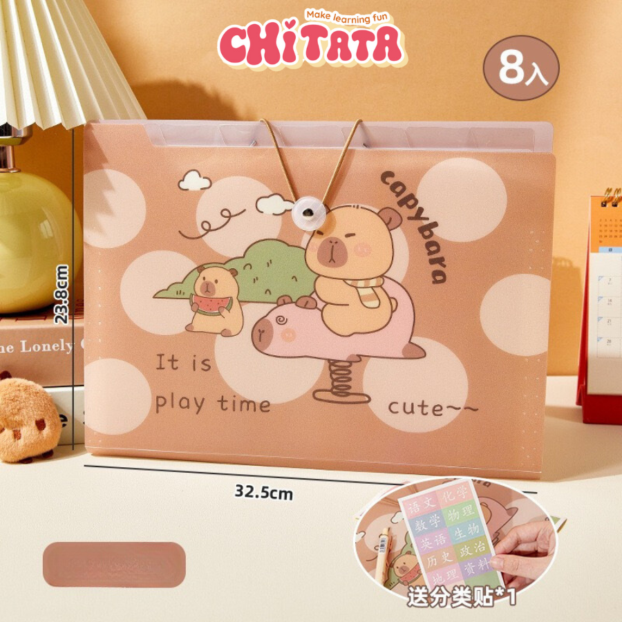 Capybara Document Bag with Many Compartments A4 Size Multi-compartment ...