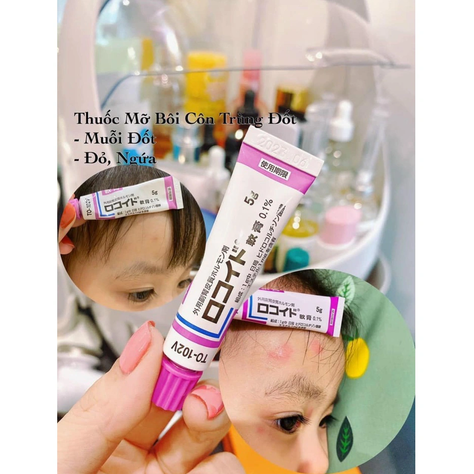 Rokoito Locoid Ointment Japan 5g | Shopee Malaysia
