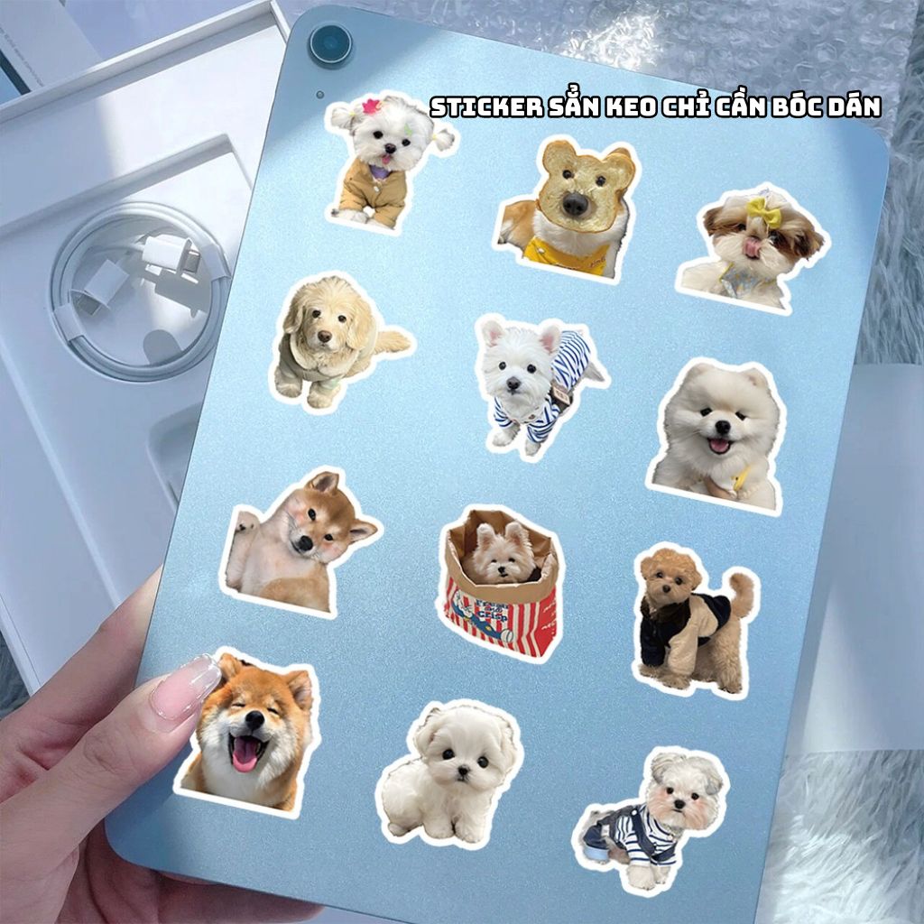 Set of 200 cute dog and cat meme stickers, dog and cat stickers, pre ...